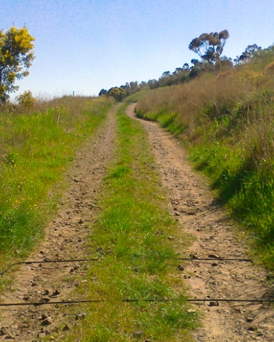 5 tips for surveying traffic on dirt roads & cycleways | MetroCount
